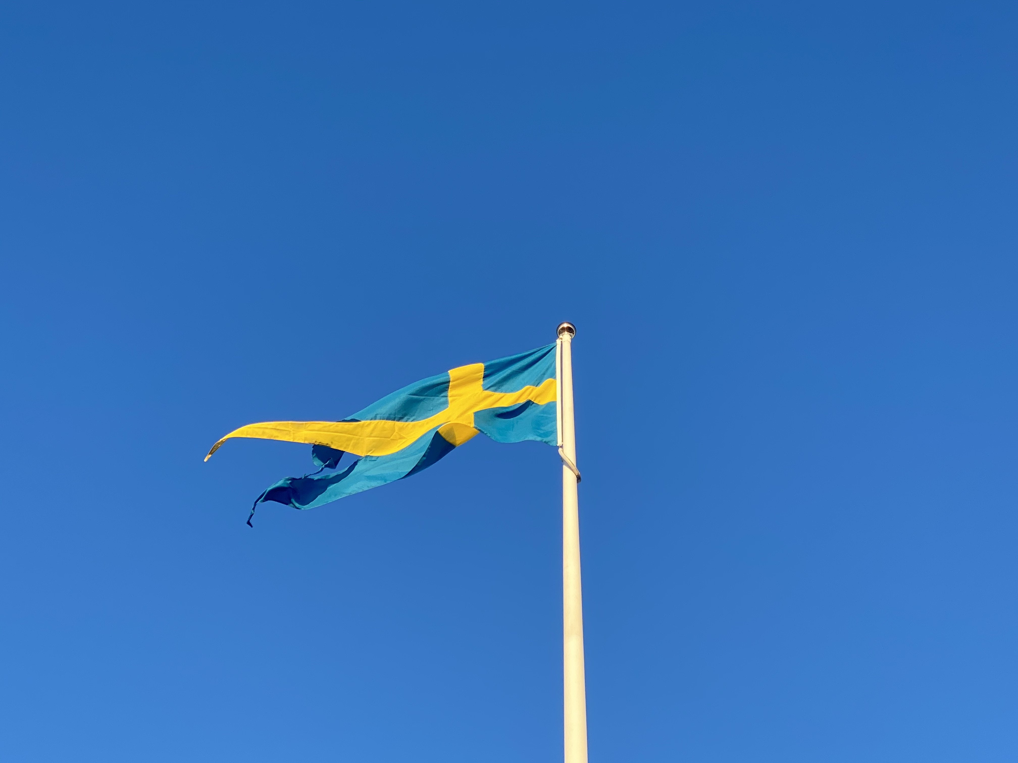 Swedish Naval Flag - Buy Flags from Riegerflags.com - FlaggorOnline